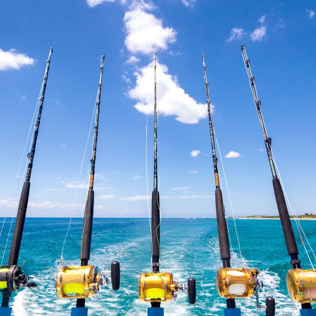 Belize Fishing Package - SunBreeze Beachfront Suites