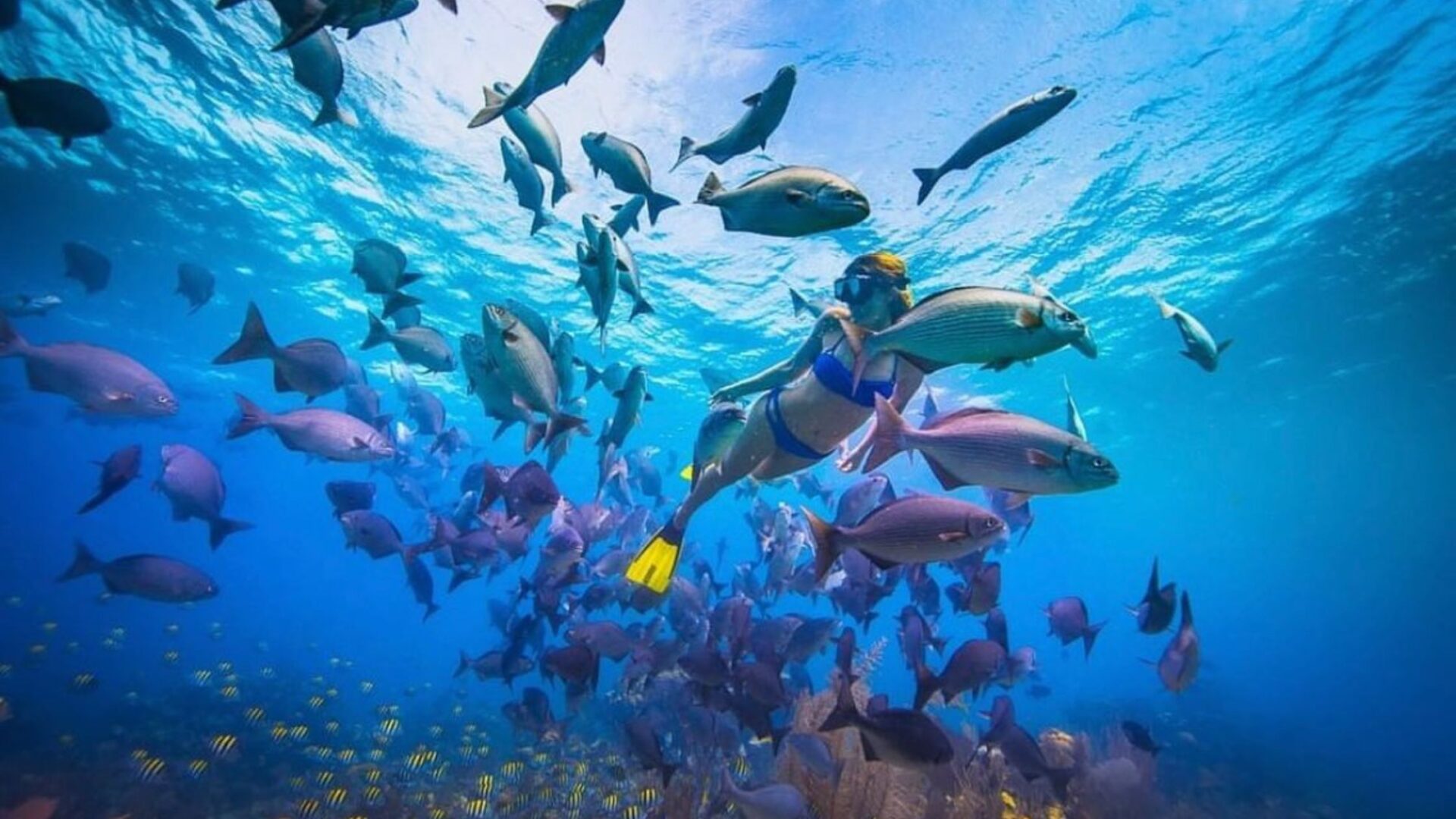 Where to Stay in Belize for the Best Snorkeling - Sunbreeze Suites