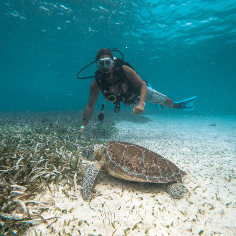 4 or 7 Nights Belize Dive Package | Explore Belize’s Best Dive Spots
