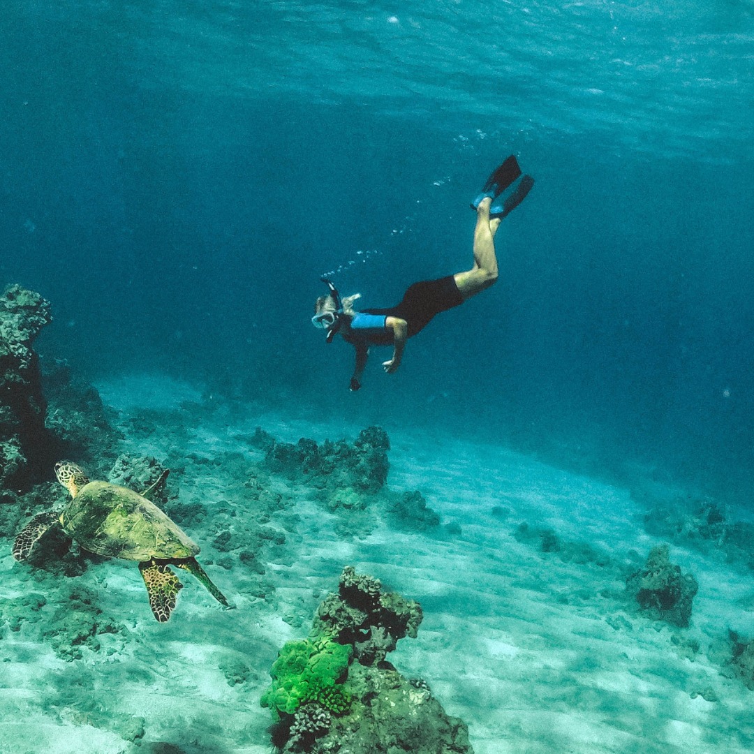 Experiencing the Best of Both Worlds: Jungle and Sea Adventures in Belize
